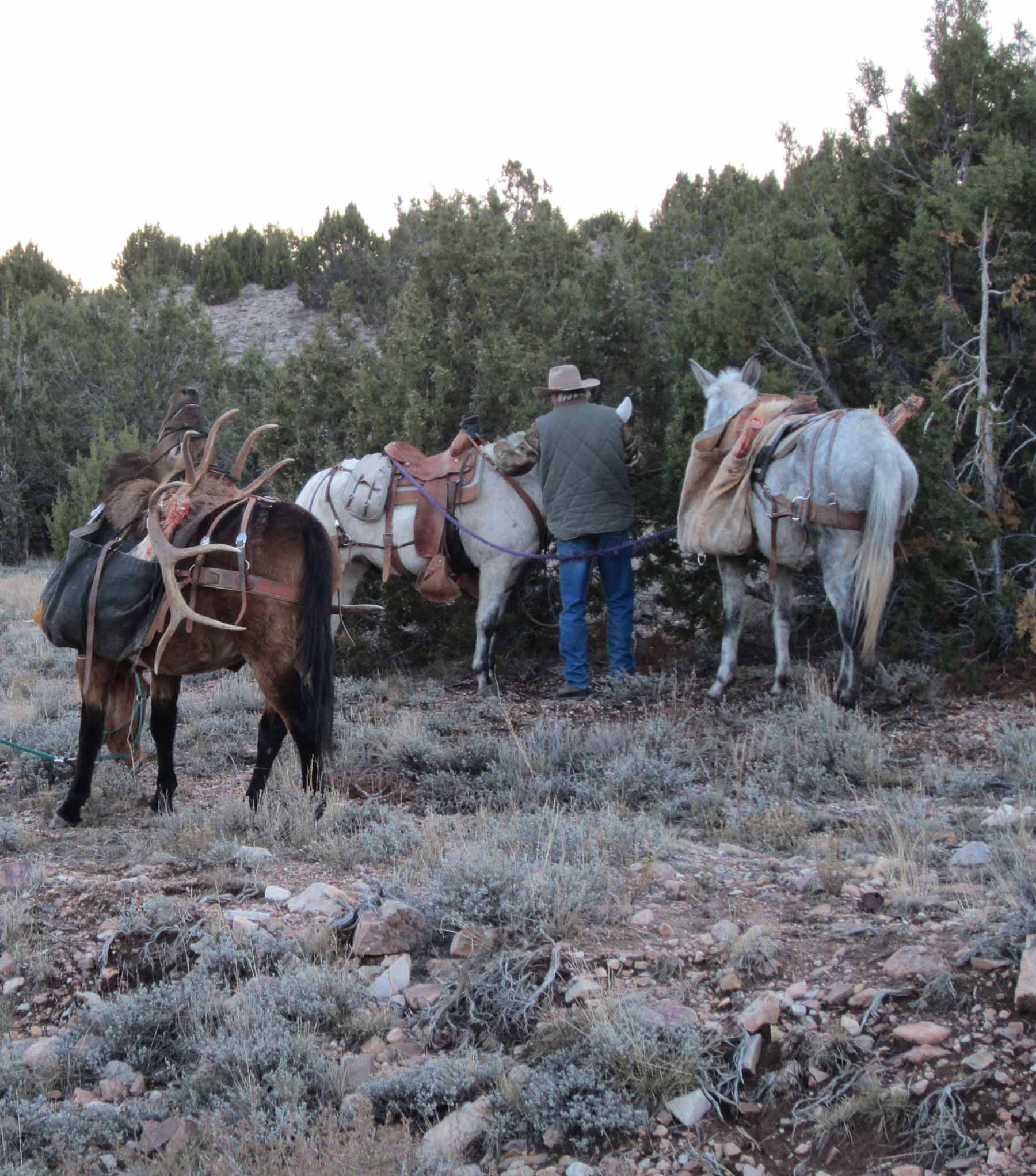 It’s Time to Plan for the Hunting Season - sportsmansquest.org